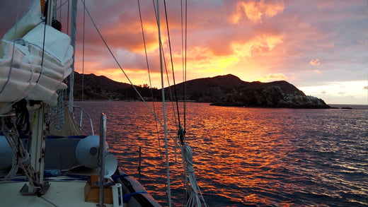 Who's Driving the Boat? – Cheyenne Richards