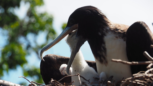 Mother Nature Brings Her A-Game – Cheyenne Richards