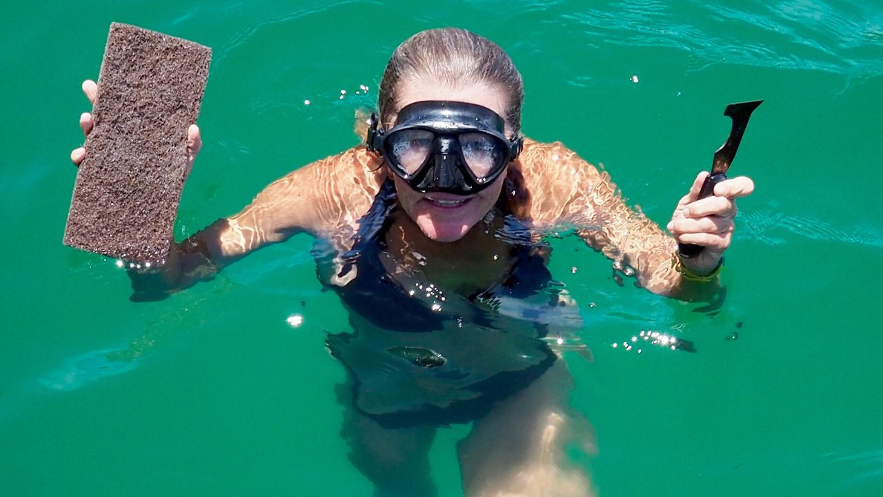 About – Cheyenne Richards